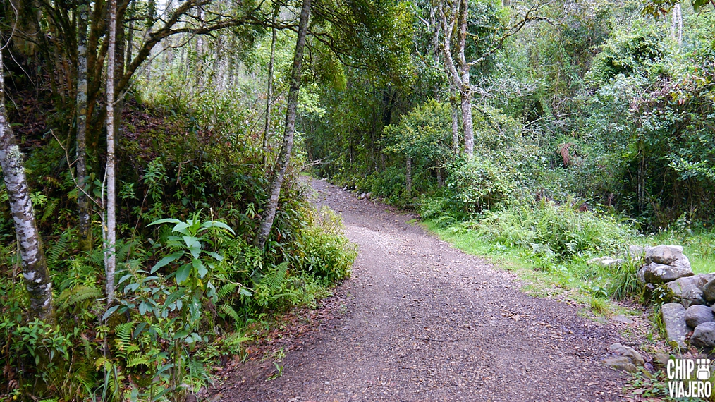 COMO LLEGAR A LA LAGUNA DE IGUAQUE 【®2020】